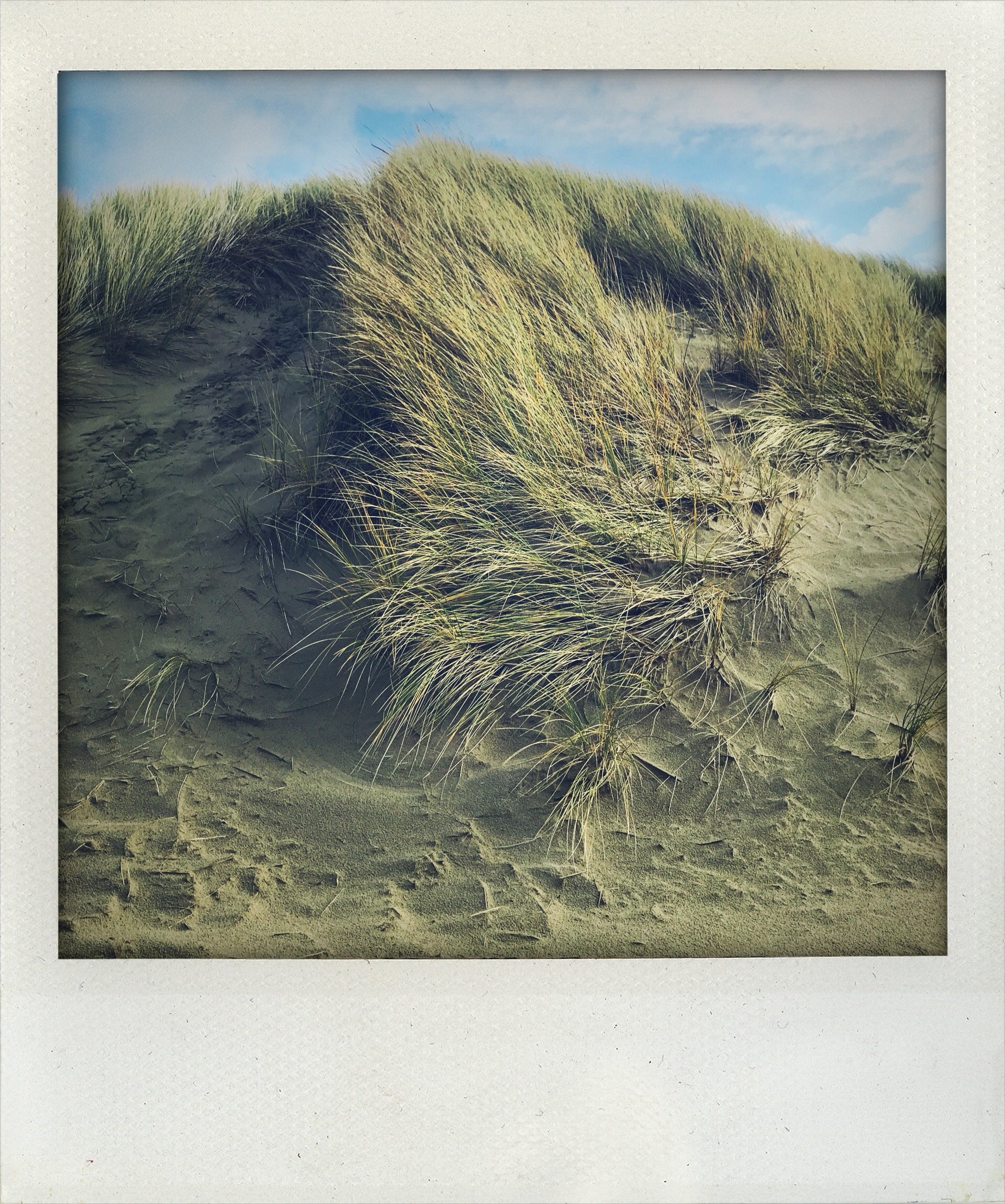 The Only Way Through This is Together- Facing COVID-19 in 2021 – DP ...